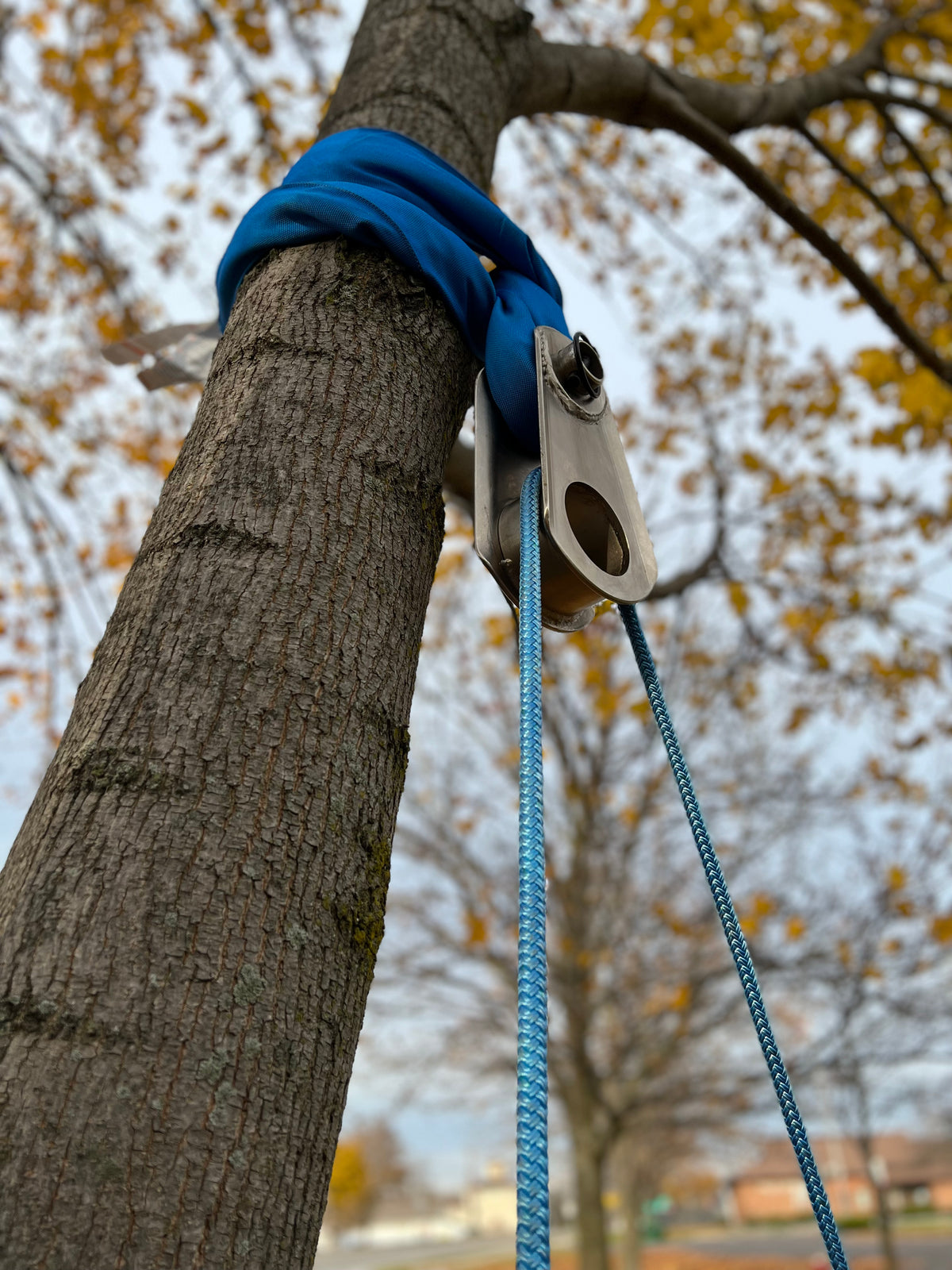 Tree Limb Lowering Knots
