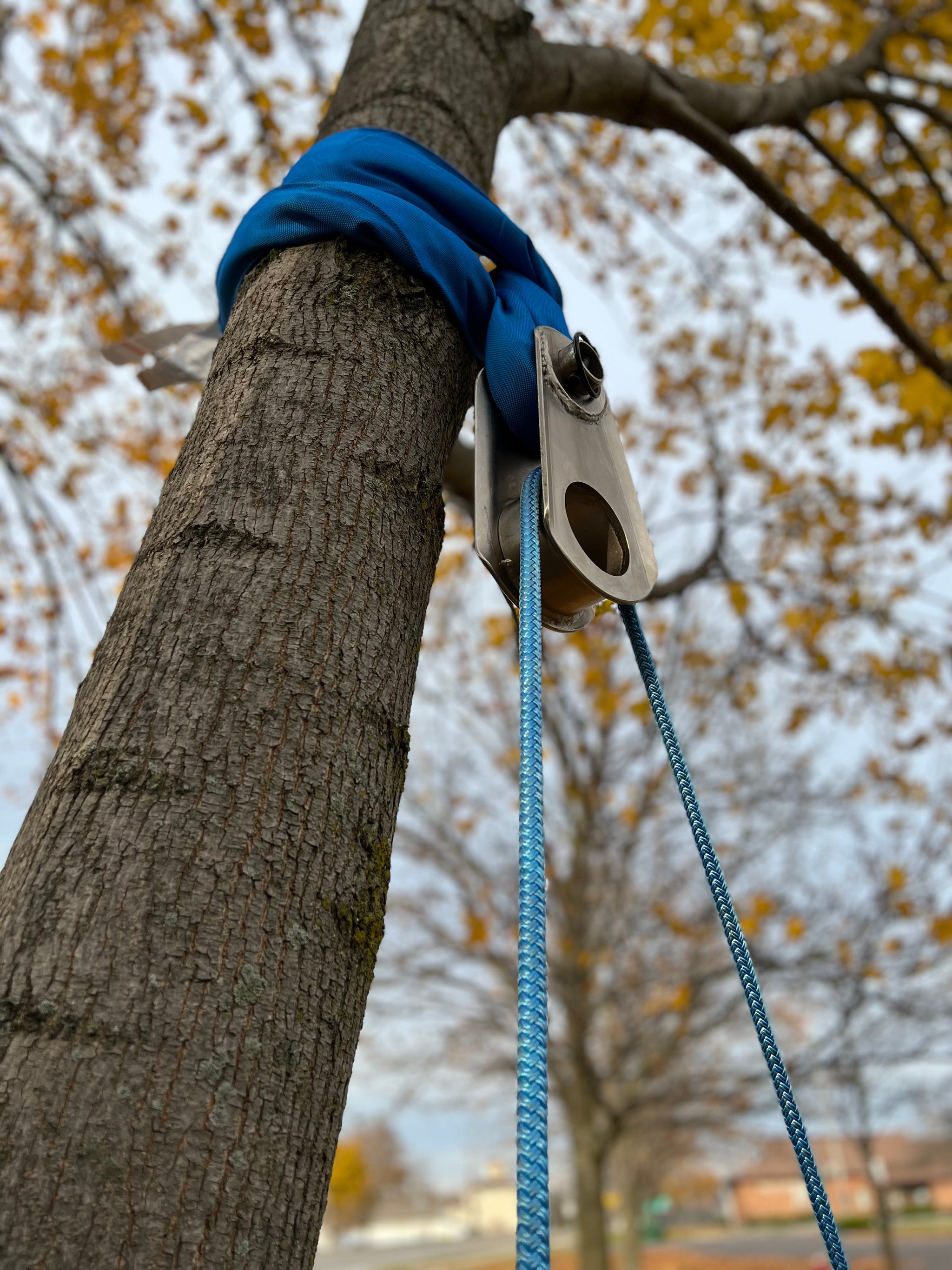Tree Rigging Devices — leonarditreecare