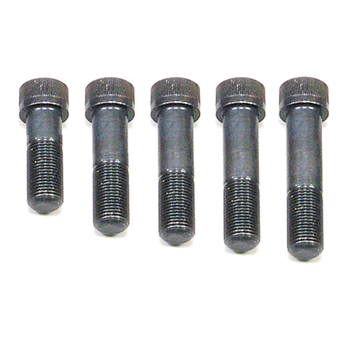 Tuff Teeth Stump Grinder Teeth Bolts — leonarditreecare